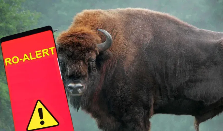 Ro-Alert – Barfim nu muncim